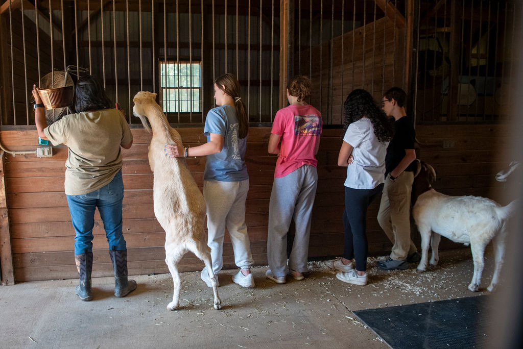 LEAP Program - Rosie's Farm Sanctuary