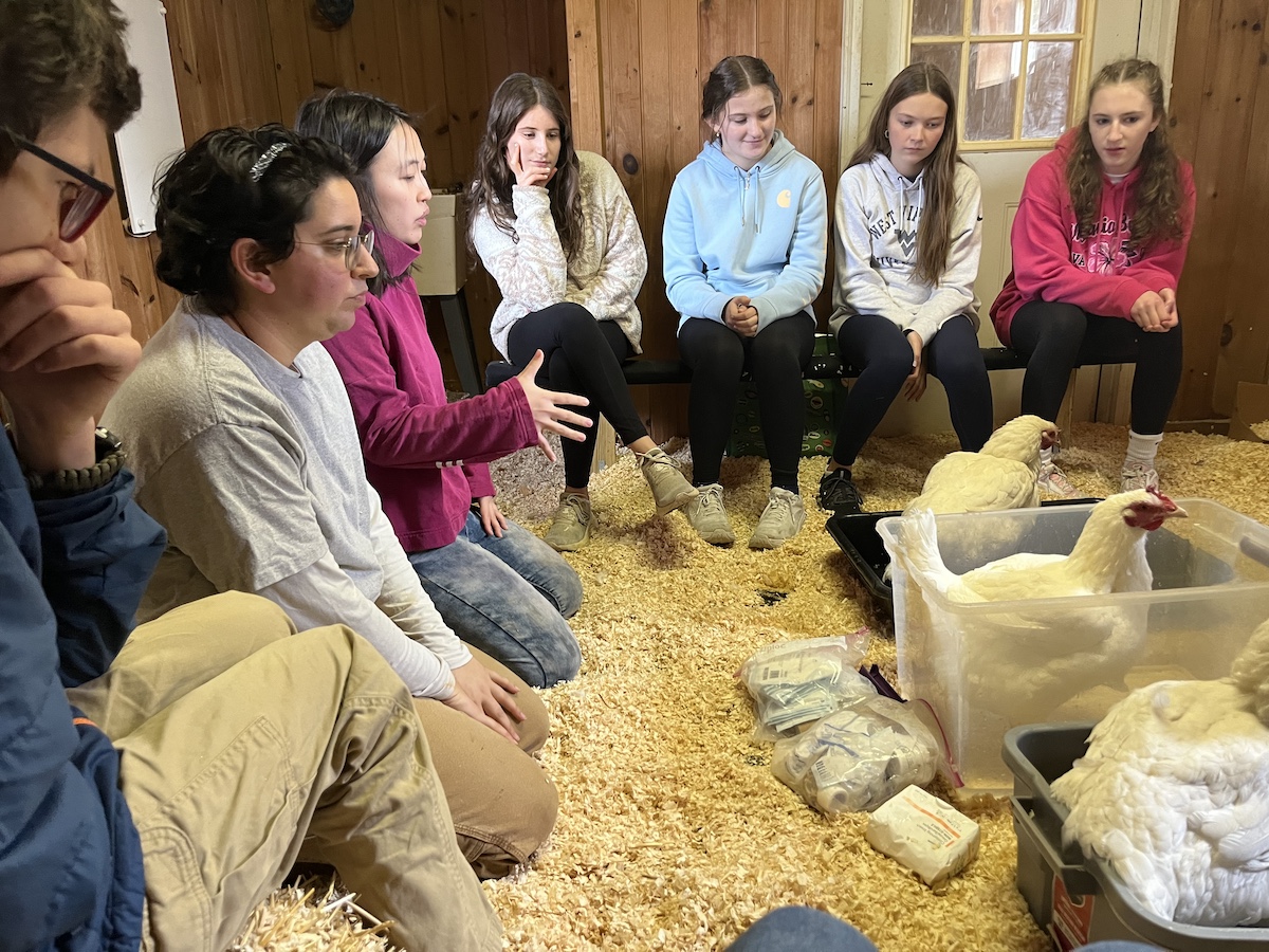 LEAP Program - Rosie's Farm Sanctuary