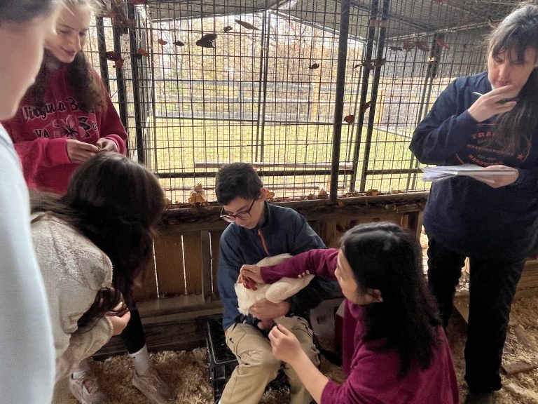 LEAP Program - Rosie's Farm Sanctuary